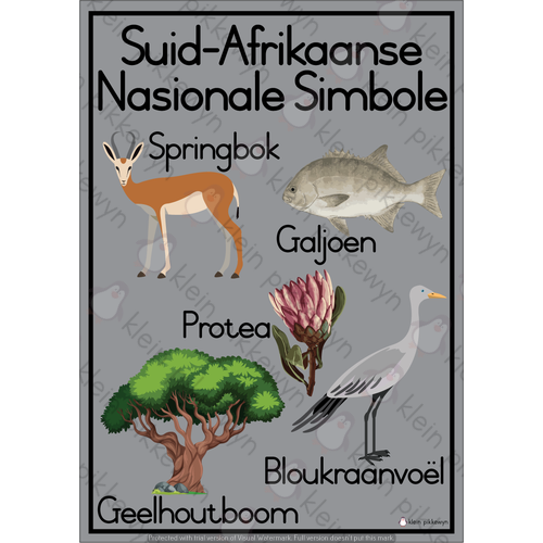 SA Nasionale Simbole Plakkaat