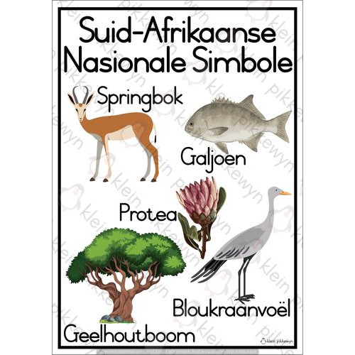 SA Nasionale Simbole Plakkaat